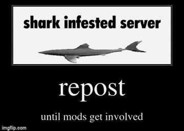 Im involved now - Imgflip