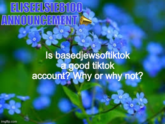 EliseElsie8100 Announcement - Imgflip