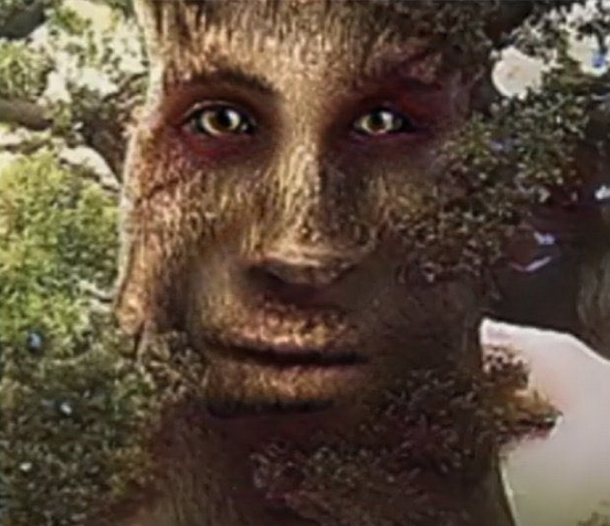 Wise Tree Fluoride Stare Blank Template Imgflip
