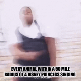 evry animal within a 50mi radius of a Disney princess singing - Imgflip