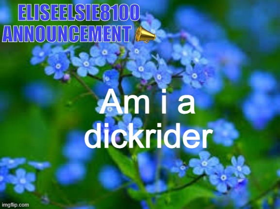 EliseElsie8100 Announcement - Imgflip