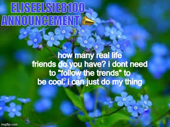 EliseElsie8100 Announcement - Imgflip