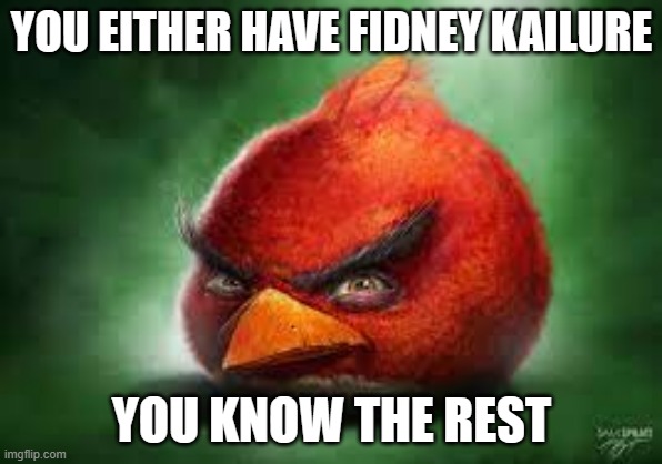Realistic Red Angry Birds - Imgflip