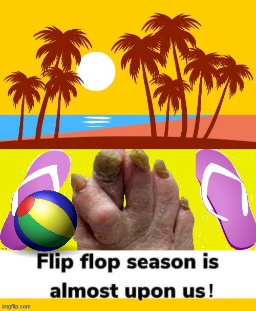 Flip Flop Season - Imgflip