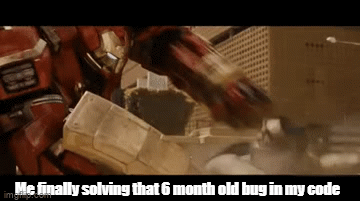 Me finally solving that 6 months old bug in my code - Imgflip