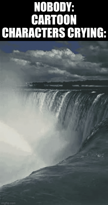 Animated GIF - Imgflip