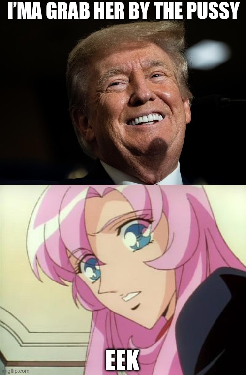 Just and accurate decription of y’alls beloved Trump - Imgflip