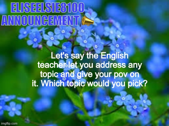 EliseElsie8100 Announcement - Imgflip