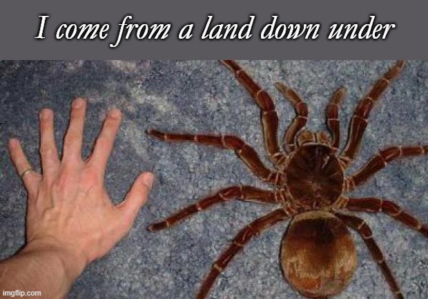 where women glow and men plunder - Imgflip