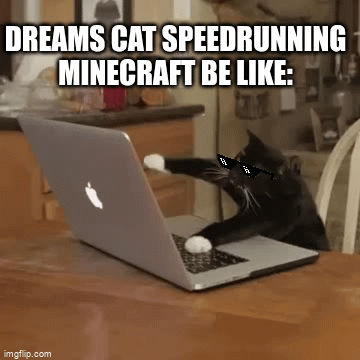 facks about dreams cat - Imgflip