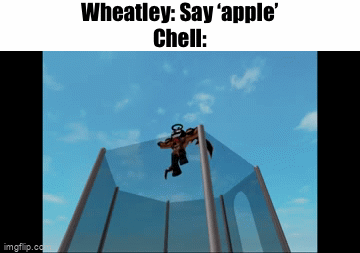 Portal meme - Imgflip