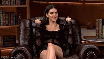 Kendal Jenner Couch Interview - Imgflip