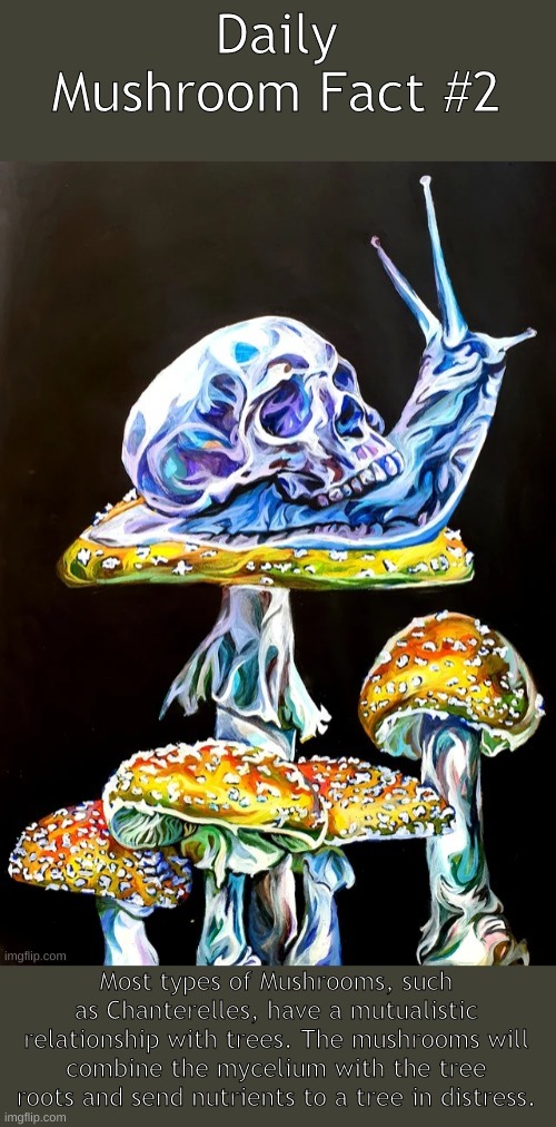 Mushrooms are quite fascinating - Imgflip