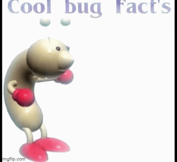 Animated GIF - Imgflip