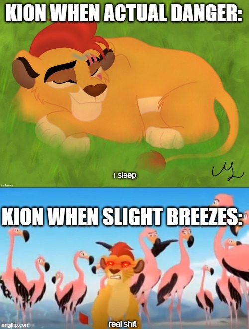 Sleeping Kion - Imgflip