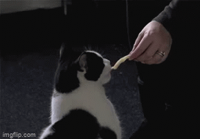 French fry - Imgflip