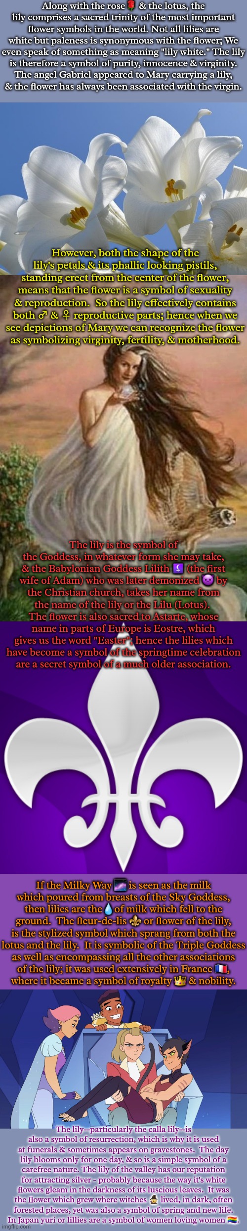 Symbolism Of The Lily Imgflip Symbolism Of The Lily Imgflip