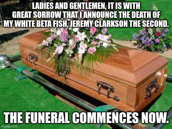 R.I.P. He was truly a fish of all time. - Imgflip R.I.P. He was truly a fish of all time. - Imgflip