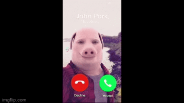 Animated GIF - Imgflip