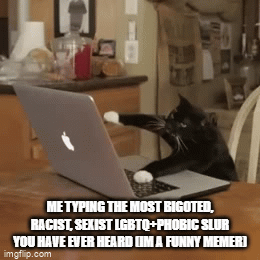 Typing kitty - Imgflip