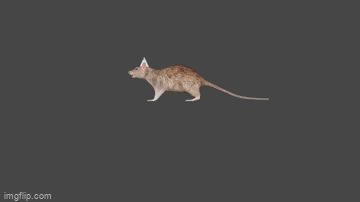 Spinning party rat - Imgflip