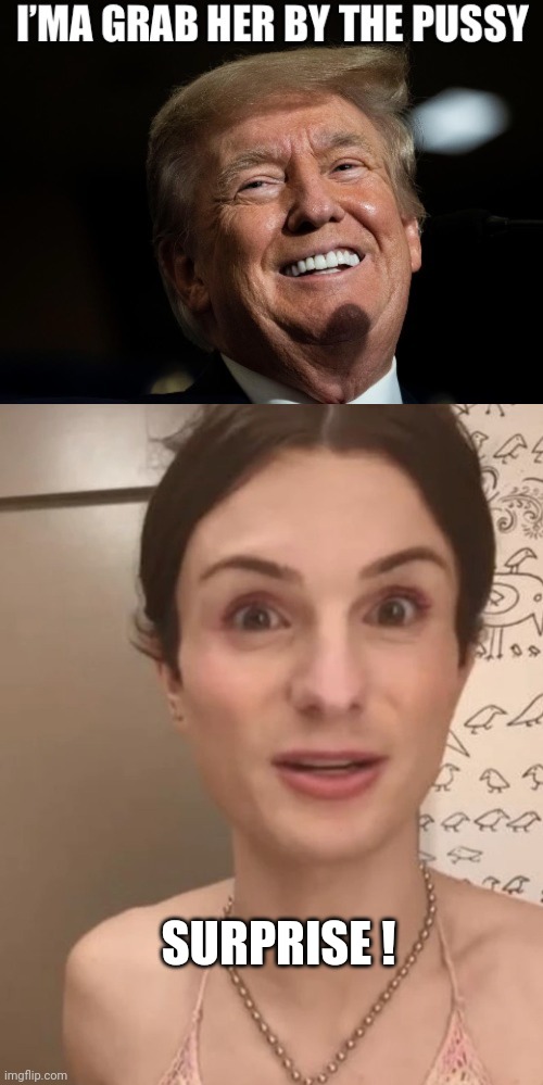 Just and accurate decription of y’alls beloved Trump - Imgflip