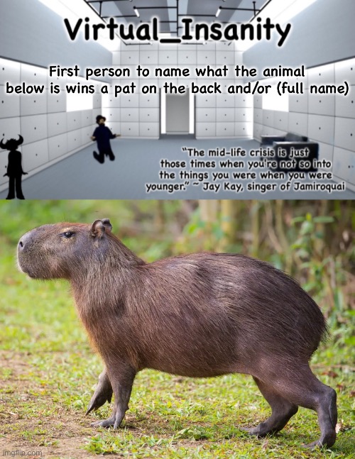 Image tagged in virtual_insanity temp - Imgflip