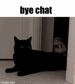 Animated GIF - Imgflip