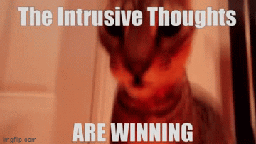 Animated GIF - Imgflip