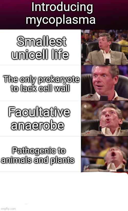 Image tagged in vince mcmahon 5 tier - Imgflip