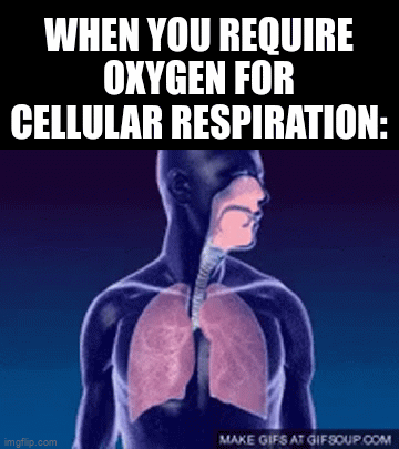 Anaerobic Respiration Memes