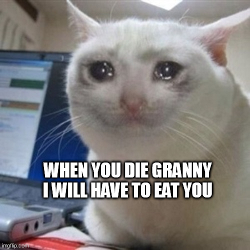 Crying cat - Imgflip