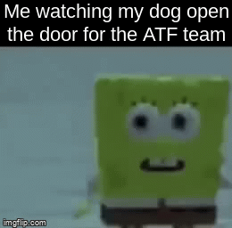 Enter a clever title for your gif! - Imgflip