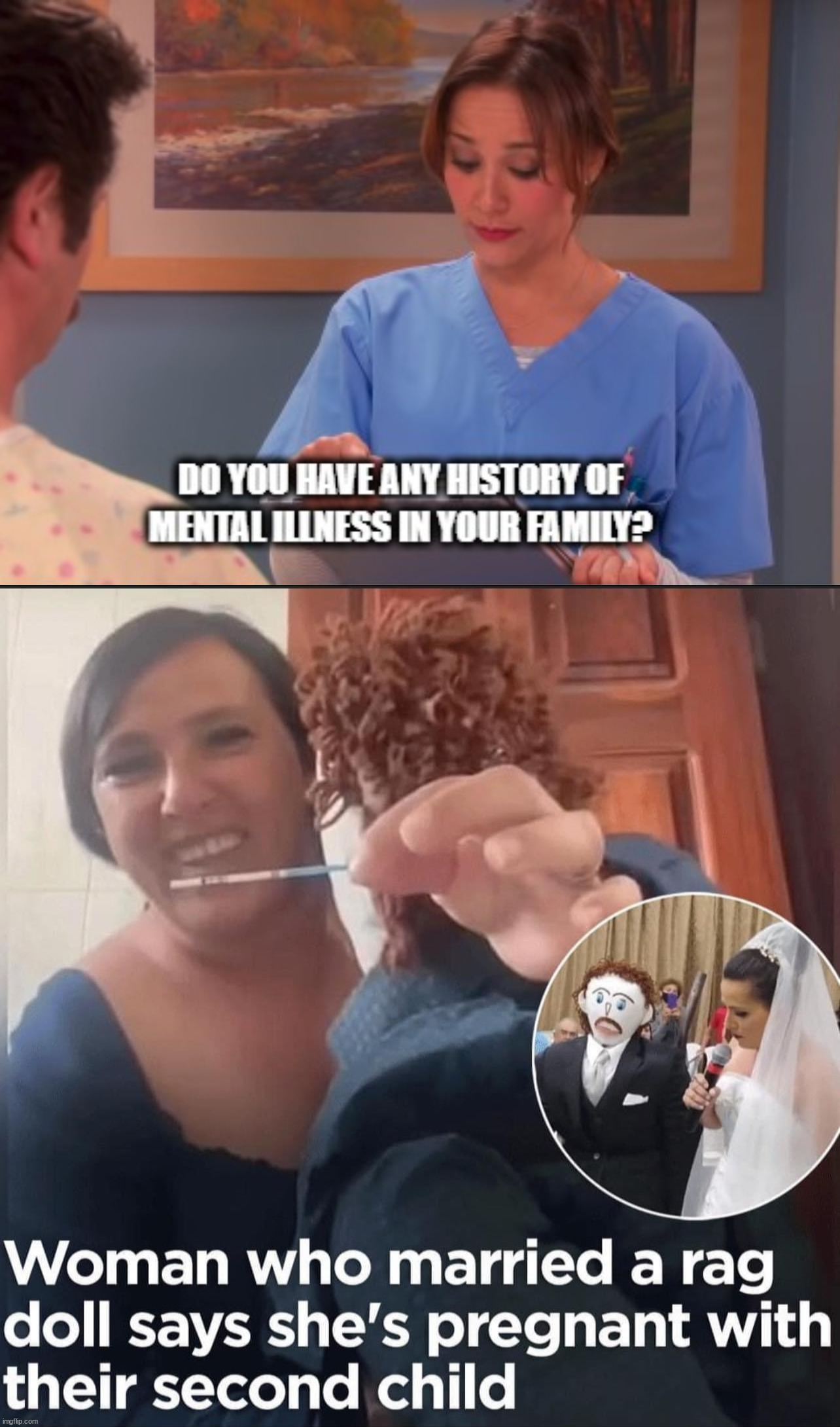 Image tagged in do you have any history of mental illness - Imgflip