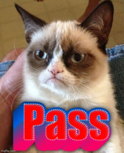 Cat Pass Blank Template - Imgflip