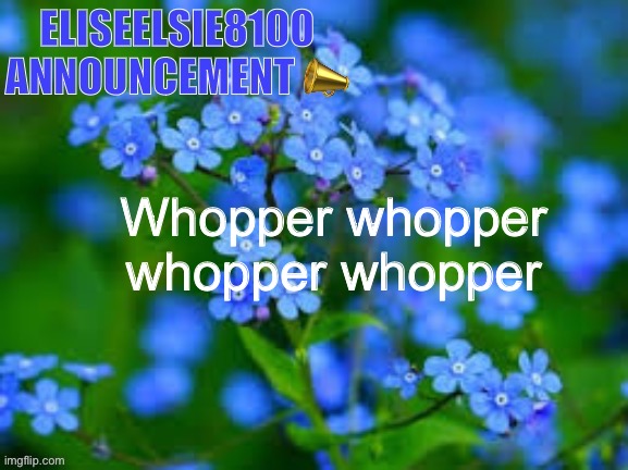 EliseElsie8100 Announcement - Imgflip