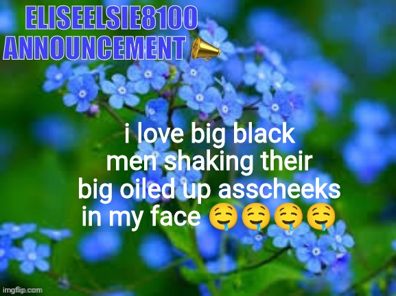 EliseElsie8100 Announcement - Imgflip