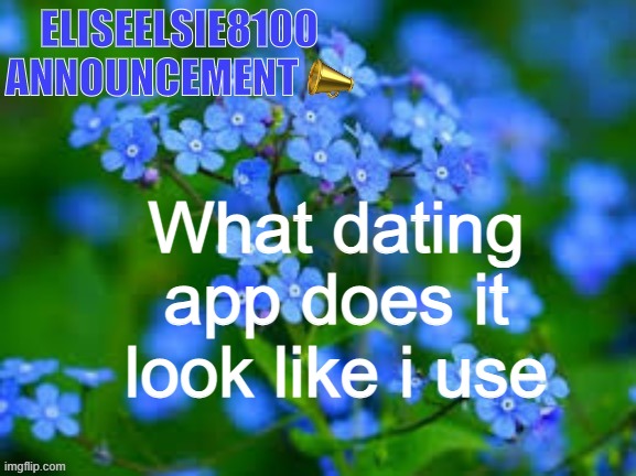 EliseElsie8100 Announcement - Imgflip