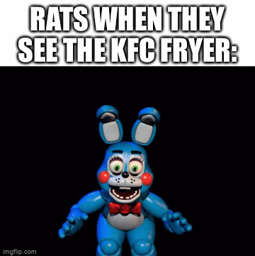 Rats when they see the KFC fryer: - Imgflip