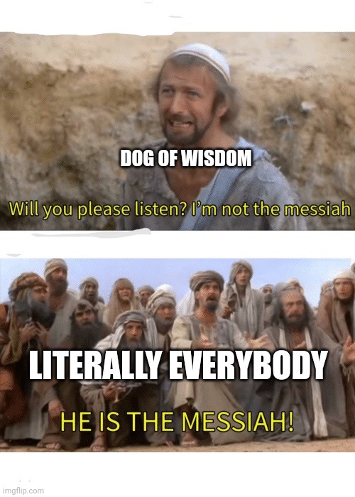 The Dog Of Wisdom Returns! - Imgflip