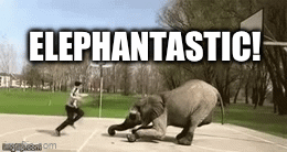 Elephantastic - Imgflip