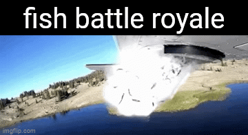 Animated GIF - Imgflip