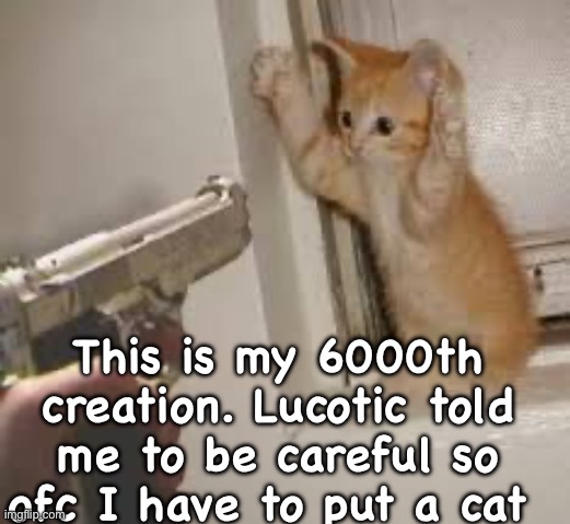 gun menacing kitten - Imgflip