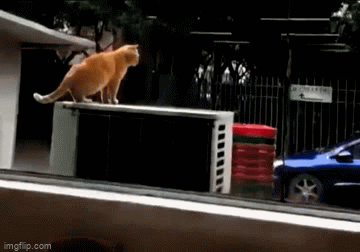 Slipped a little - Imgflip