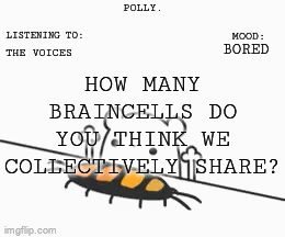 Pollys temp - Imgflip