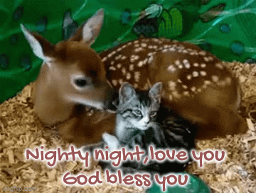 nighty night - Imgflip