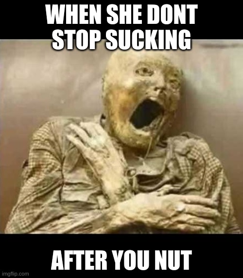 *insert sexual comment here* - Imgflip