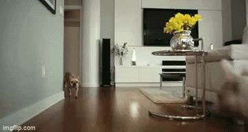 Sliding under - Imgflip