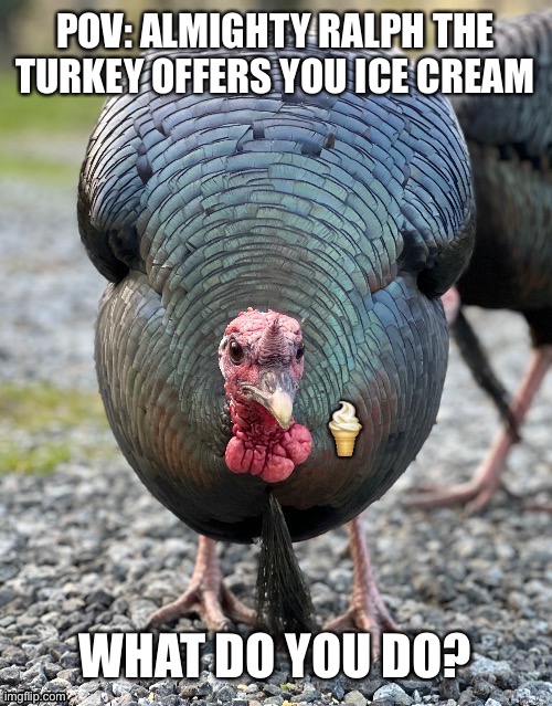 Rules: no killing Ralph or having sex with Ralph - Imgflip