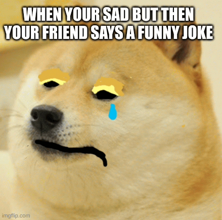 Emotional doge - Imgflip